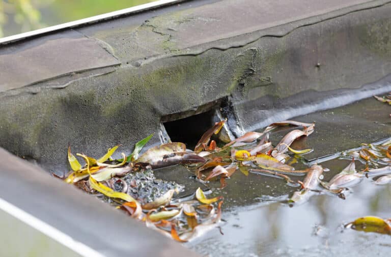 What Is A Roof Scupper & Why Is It Important?